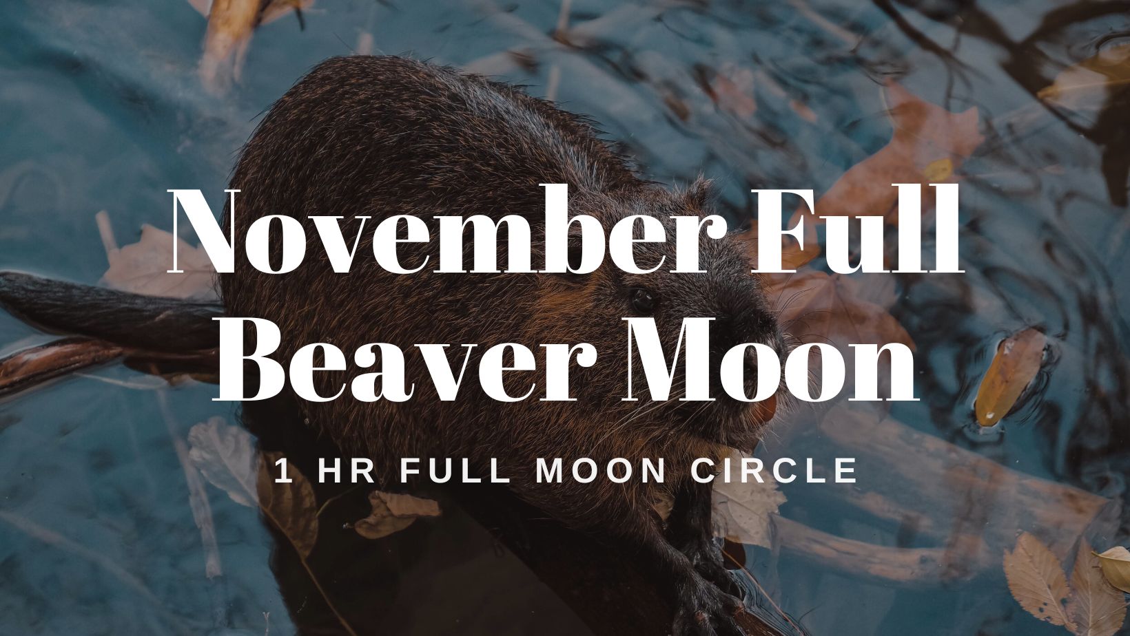Full Beaver Moon in Gemini: Easy Ritual & How to Celebrate