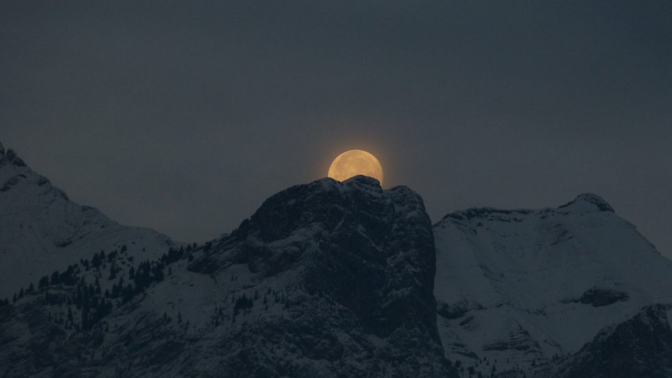 A Witch's Guide to Celebrating the Beaver Moon: Rituals & More
